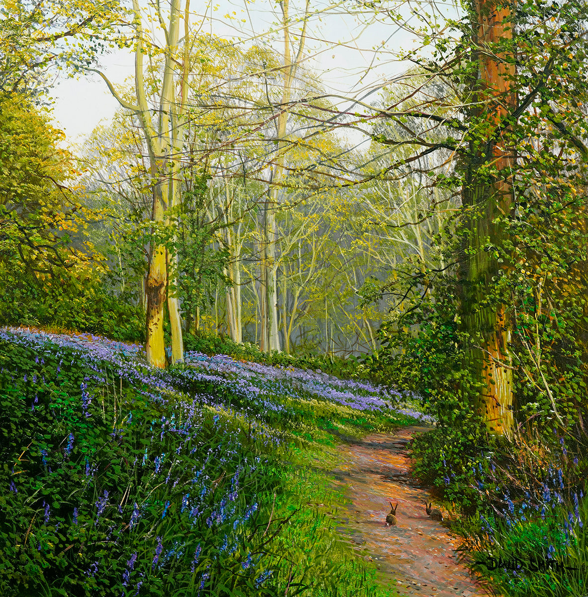 BLUEBELL TIME - Open Edition Print – David Smith Artist